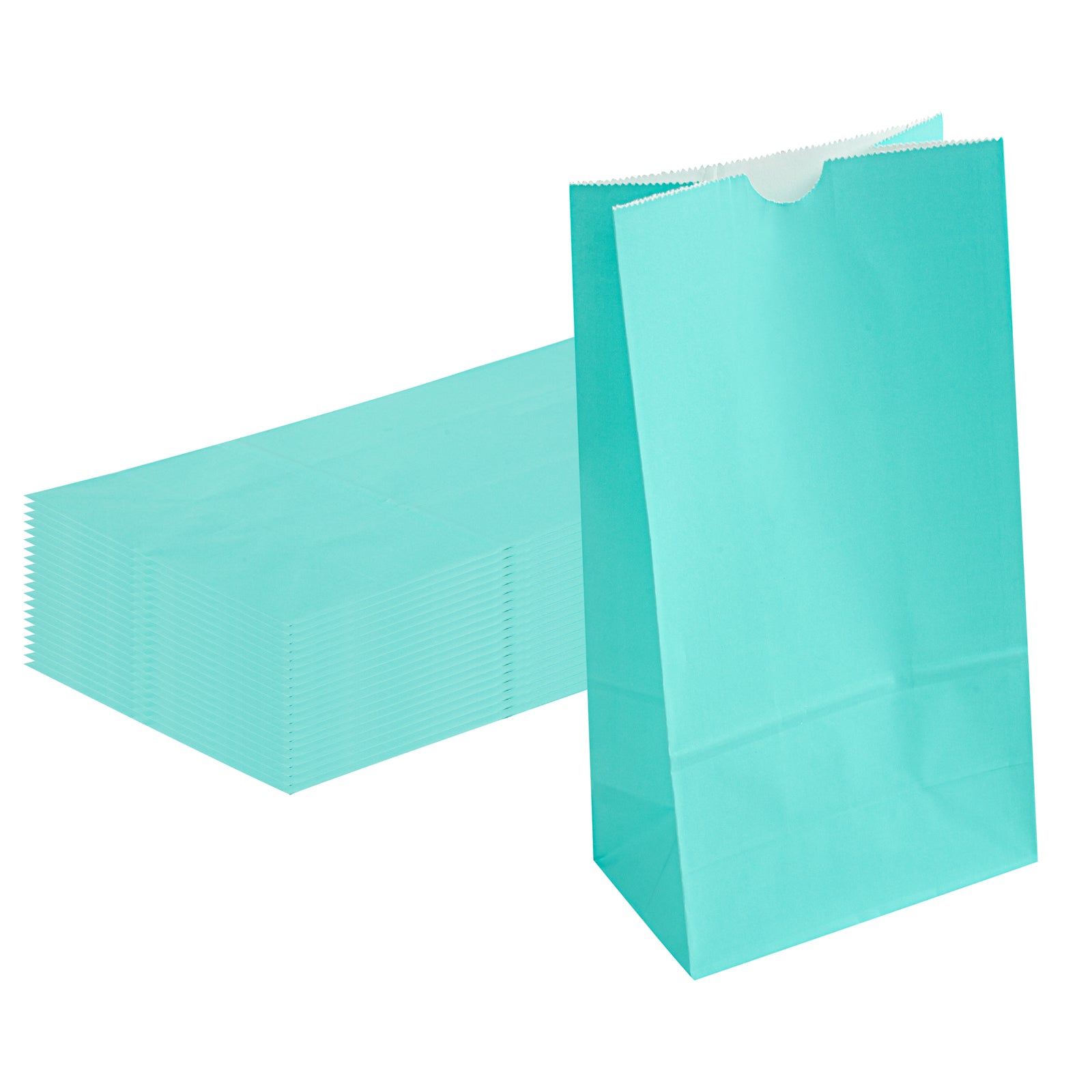 Bag Tek Turquoise Paper Bag 6 Lb 6 X 3 1 2 X 10 3 4 100 Count Box bag-tek-turquoise-paper-bag-6-lb-6-x-3-1-2-x-10-3-4-100-count-box