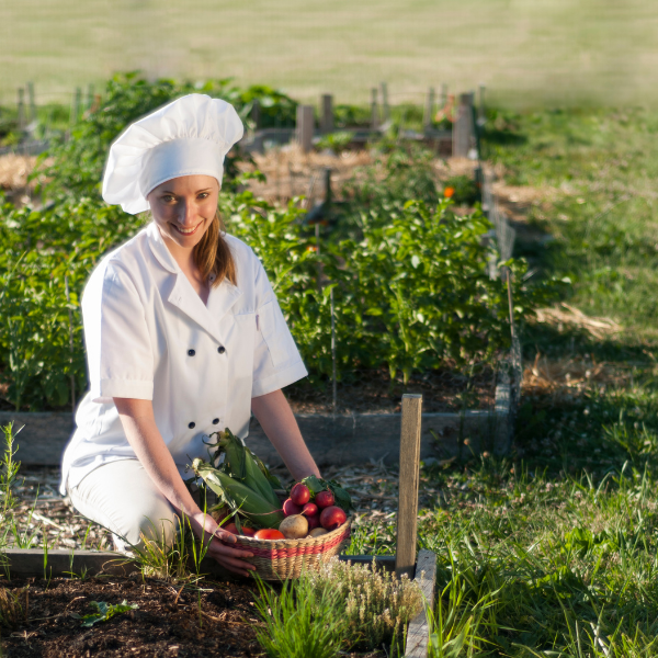 Eco-Friendly Foodservice Solutions | Blog Posts, Articles, and Guides