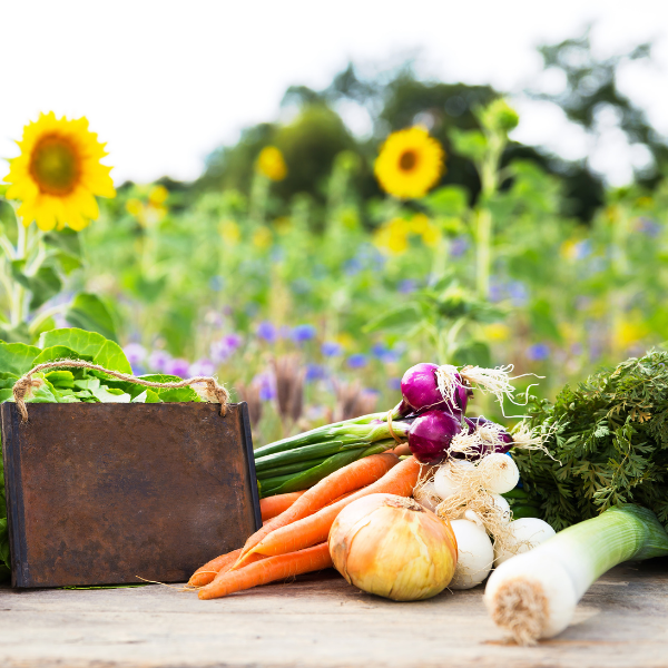 What Is Farm To Table?