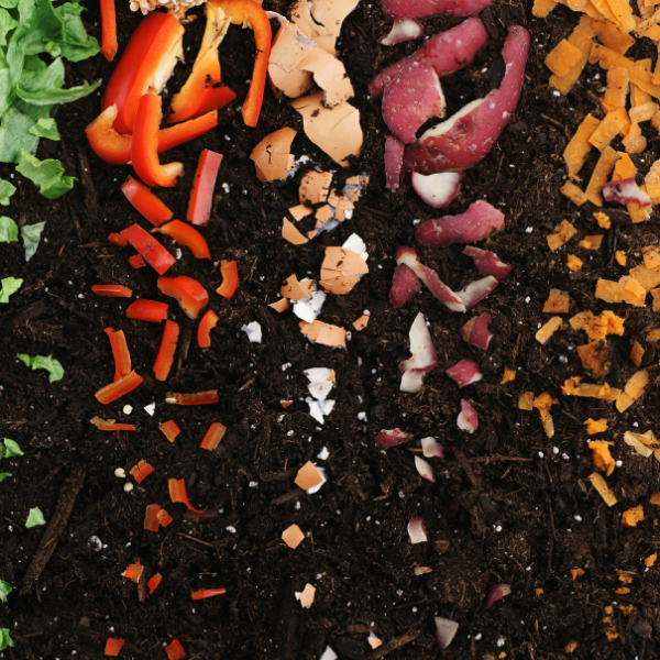 Composting For Foodservice: A Restaurant's Guide To Zero Waste