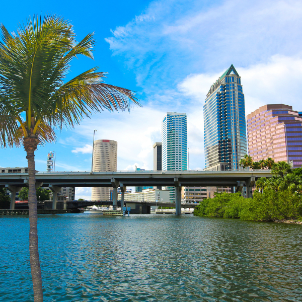 Catering Supplies & Disposables Tampa, Florida