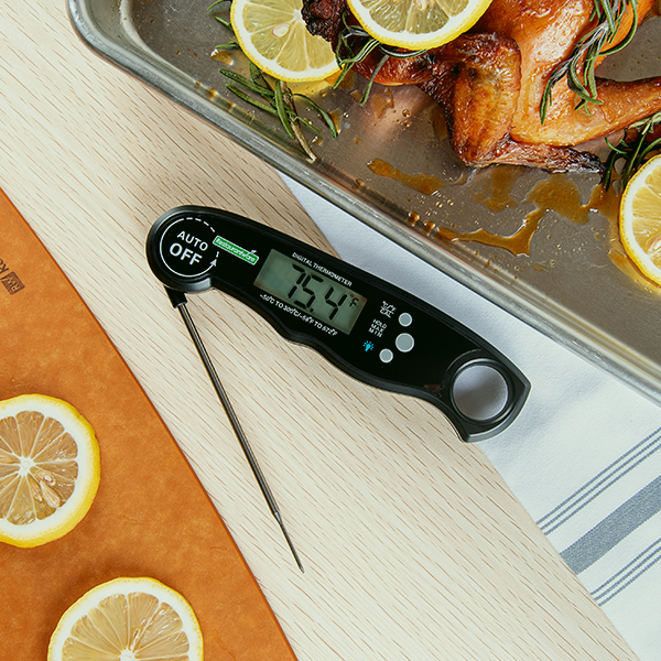 Bulk Thermometers | Digital Temperature Gauges In Stock, Ships Today
