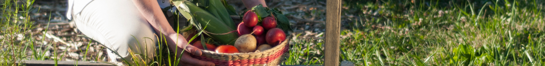 How Restaurants Can Grow Their Own Food