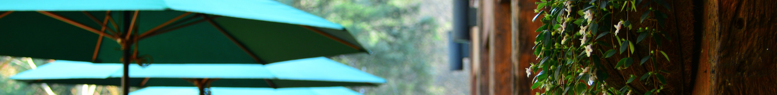 How To Keep Customers Cool In Outdoor Areas: Tips & Tricks