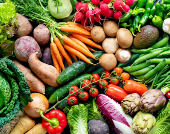 Which Foods Have the Biggest Impact on Climate Change?