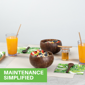 Coco Casa 16 oz Metallic Silver Handmade Coconut Bowl - 10 count box