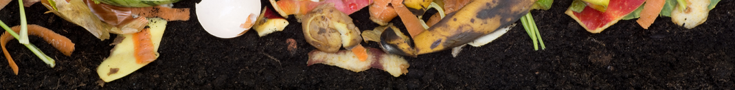 Composting For Foodservice: A Restaurant's Guide To Zero Waste