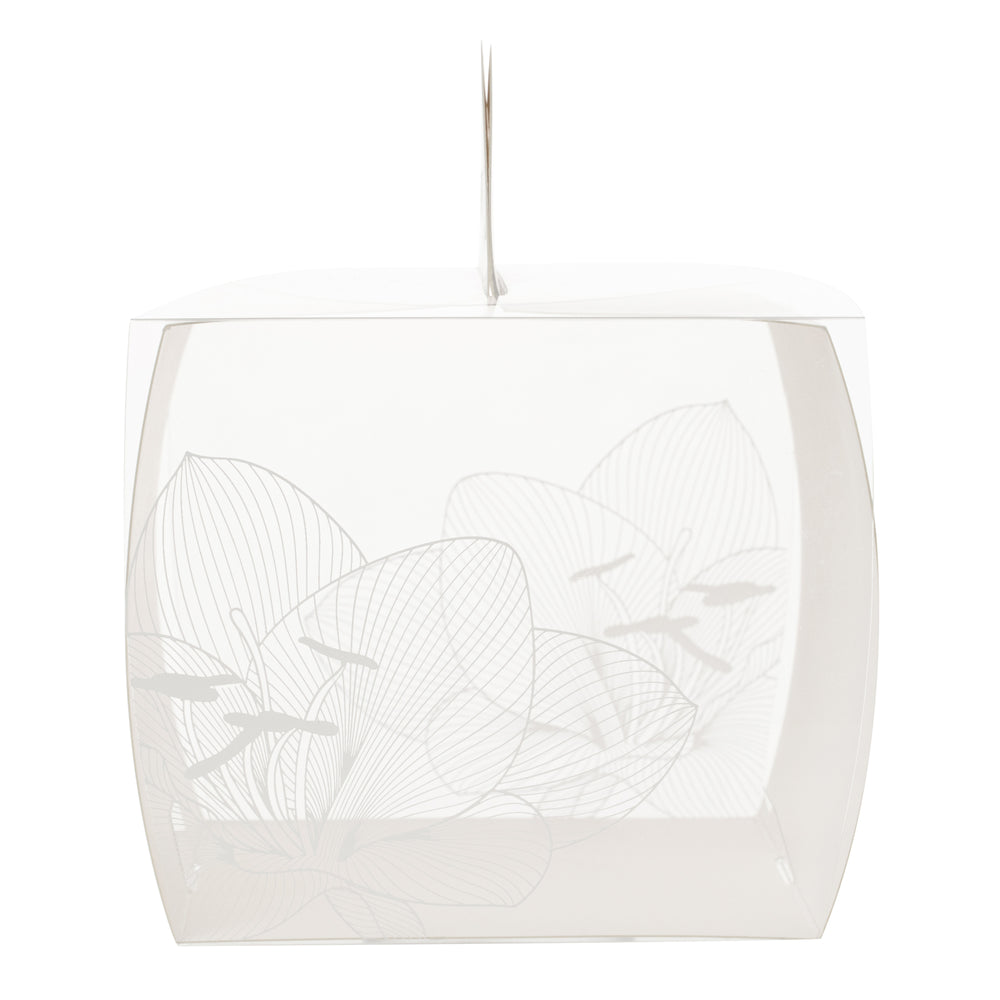 Bakery Boxes & Disposable Bakery Boxes