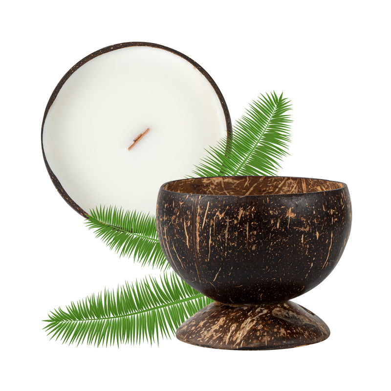 Coco Casa Handmade Coconut Candle Bowl - Sandalwood and Shea - 4" x 4 ...