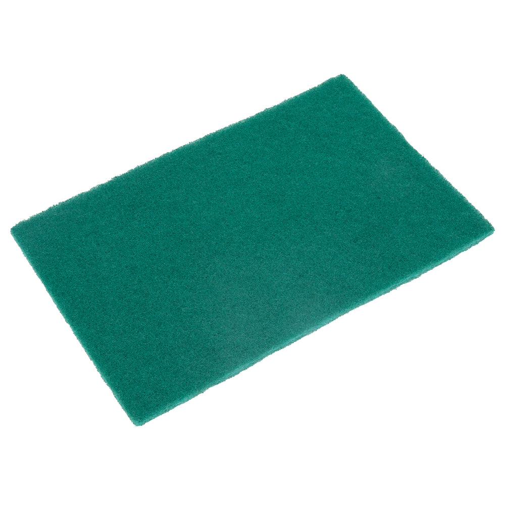 Heavy Duty Scouring Pad - 6" x 9" - Green - 10 Count Box